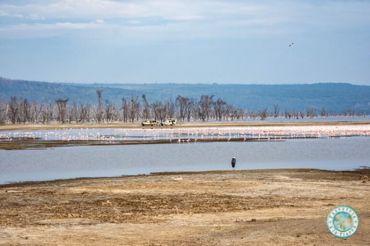 Safari por el Lago Nakuru 【2025】⭐Guia para visitar Nakuru