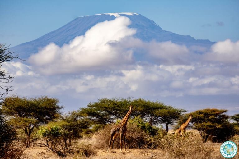 Que ver en un safari por Amboseli 🐘🏔️ Kenia