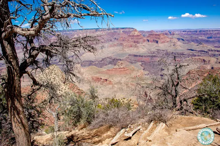 Guía para visitar el Gran Cañón del Colorado 【2025】🇺🇸🏜️
